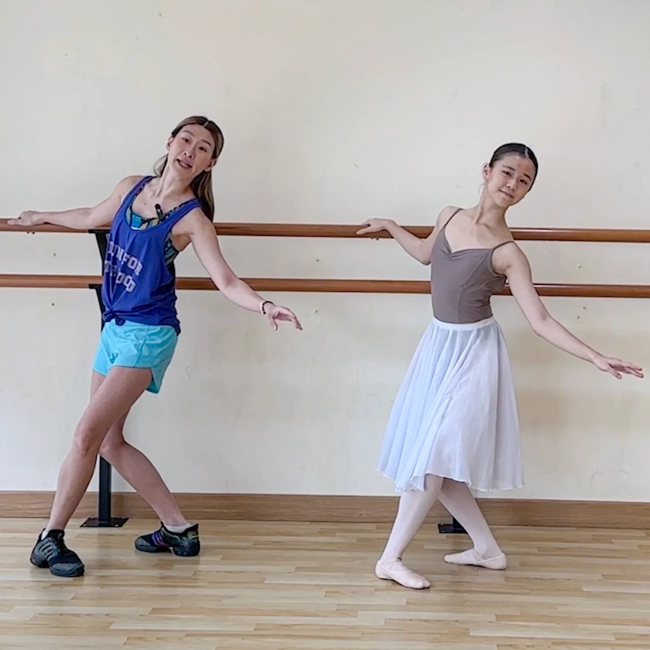 Technique for La Fille Mal Gardée Lise Variation Act III Part 1 ...